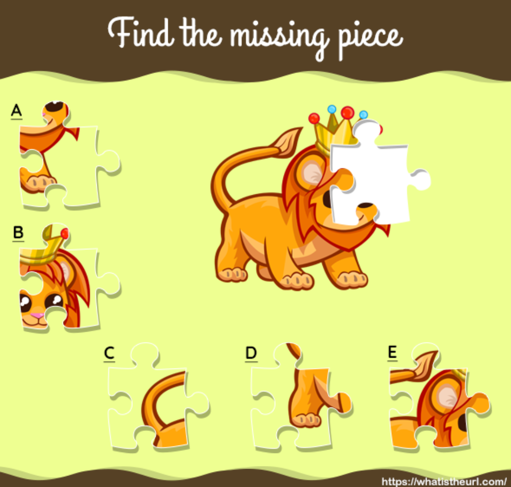 Find the Missing Piece - Lion picture - Your Home Teacher