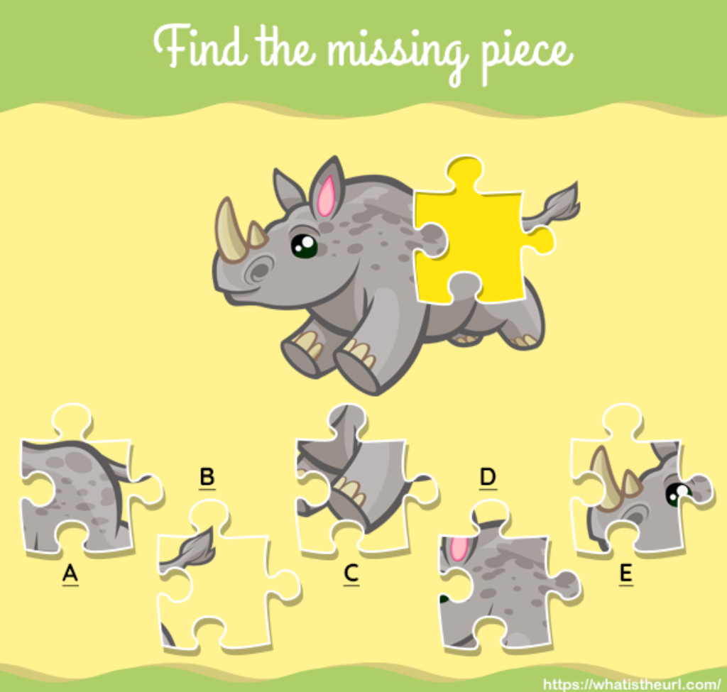 Find the Missing Piece - Rhinoceros picture - Your Home Teacher