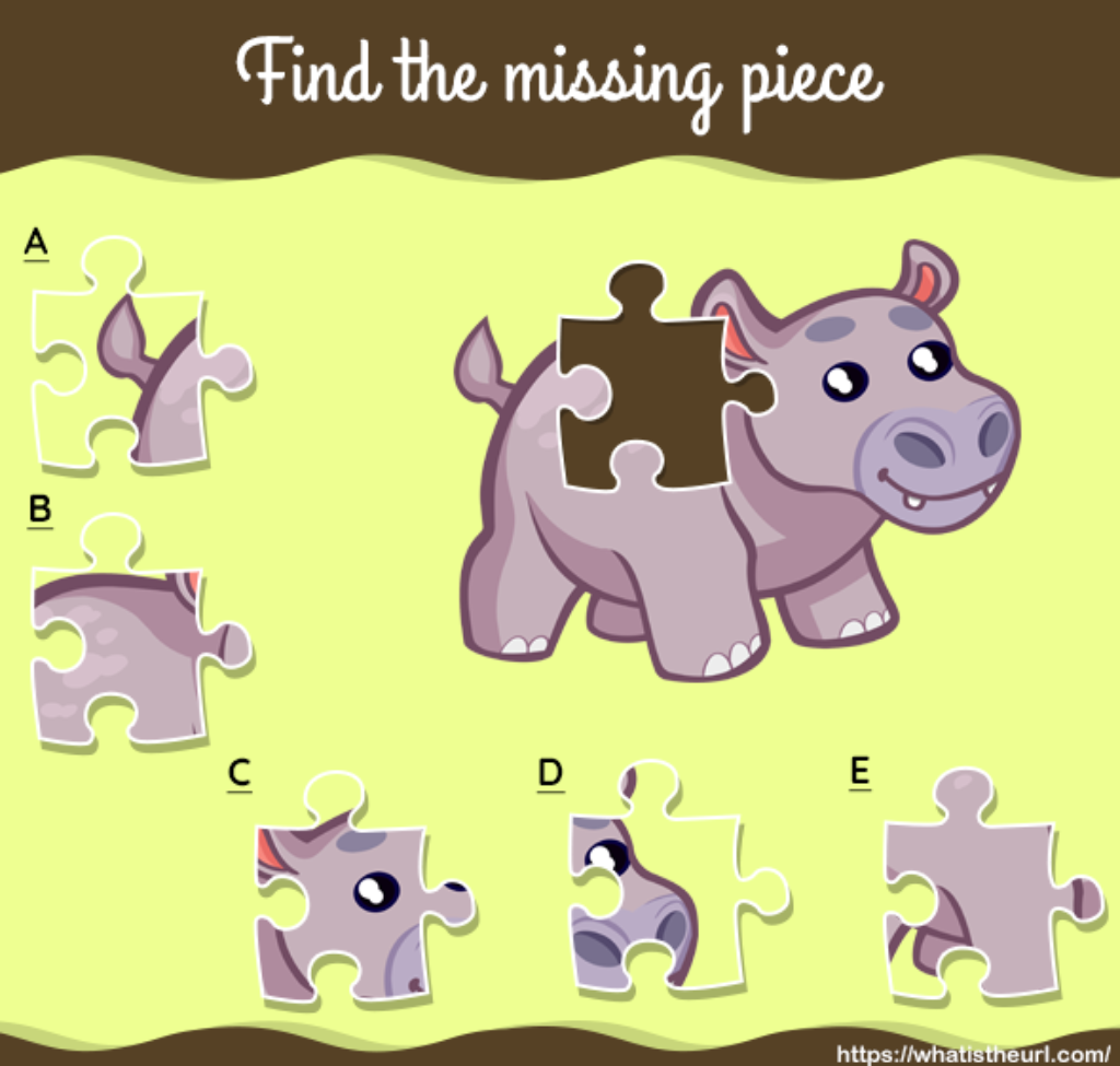 Find the Missing Piece - Hippopotamus picture - Your Home Teacher