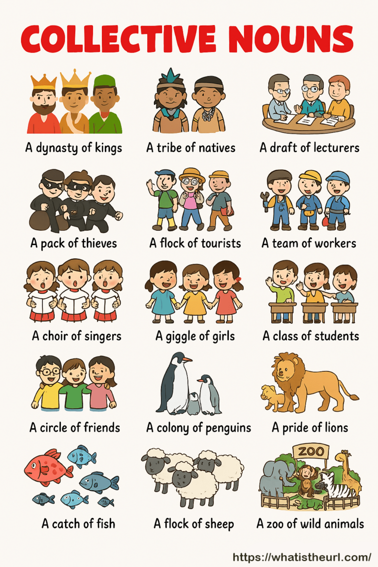 Chart on Collective Nouns - Your Home Teacher
