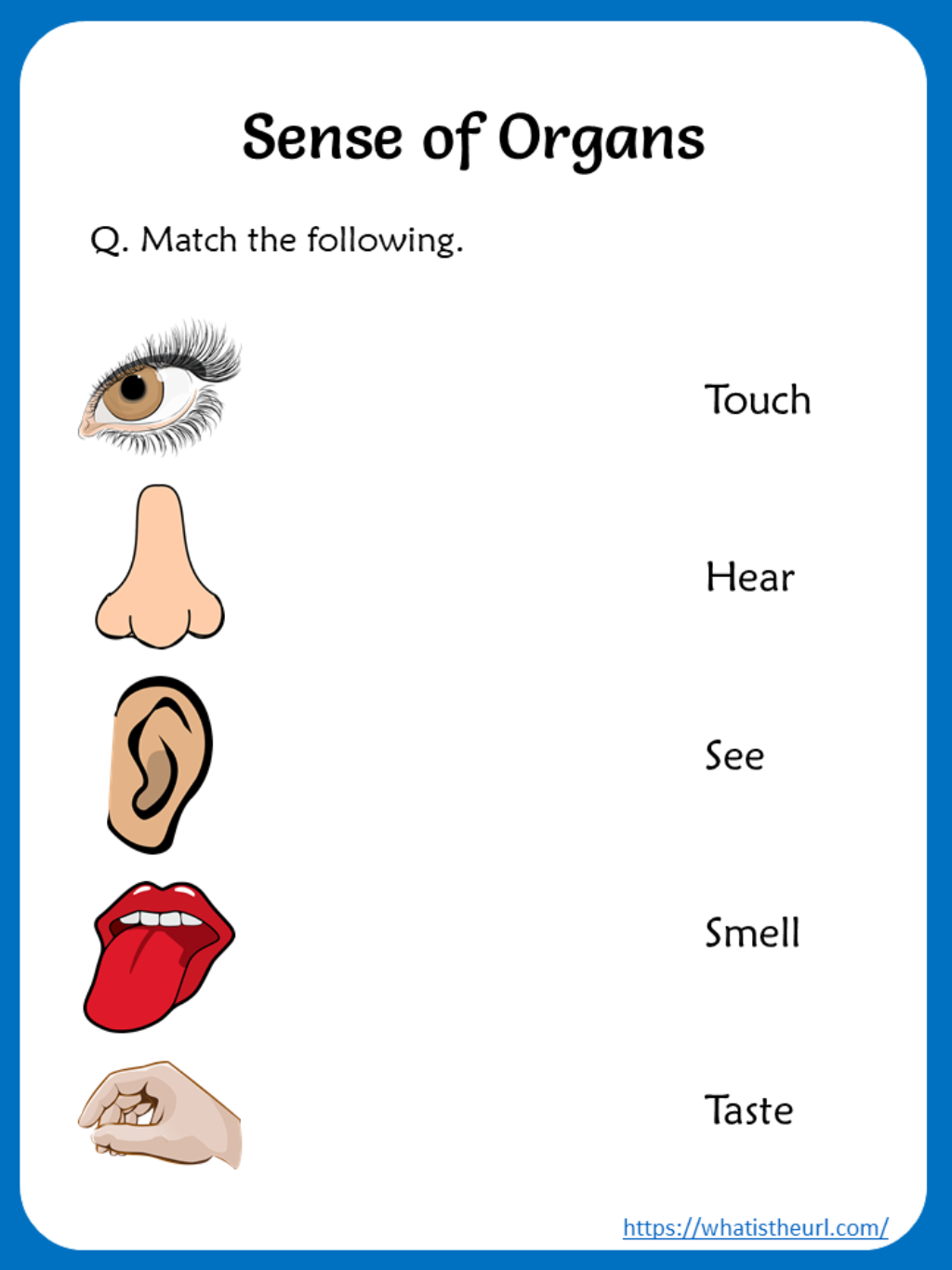 Sense of Organs Worksheets - Your Home Teacher