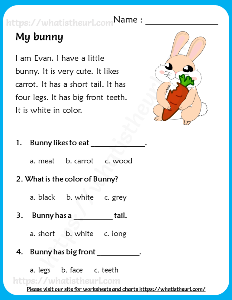 Reading Comprehension for Grade 3 - Your Home Teacher