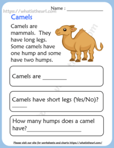 Reading Comprehension for Grade 1 - Your Home Teacher