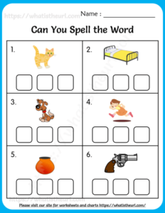 Can you spell - Worksheets for Grade 1 Kids - Your Home Teacher