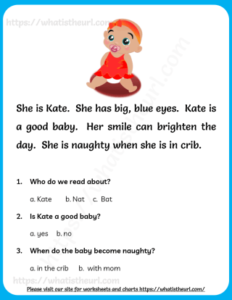 Reading Comprehension for Grade 2 - Your Home Teacher