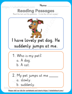 Kindergarten Reading Comprehension - Your Home Teacher