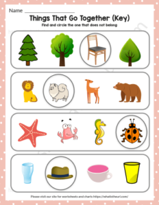 Things That Go Together Worksheet - Exercise 2 - Your Home Teacher