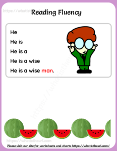 CVC Reading Fluency Short a Words - Exercise 1 - Your Home Teacher