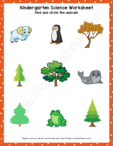 Plant or Animal Worksheet for Kindergarten – Exercise 2 - Your Home Teacher