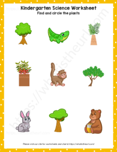 Plant or Animal Worksheet for Kindergarten - Exercise 1 - Your Home Teacher