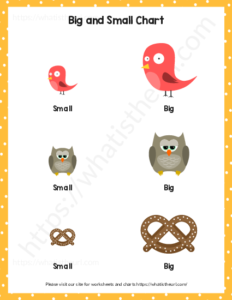 Printable – Finding Big and Small Objects -Worksheet-Exercise 3 - Your ...