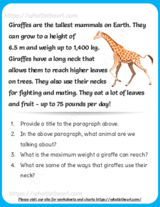 Reading Comprehension Passages for Grade 3 or 4 - Exercise 10 - Your ...