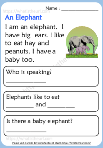 Reading Comprehension for kids-Exercise 6 - Your Home Teacher