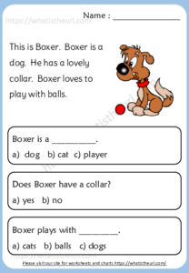 Reading Comprehension for kids – Exercise 30 - Your Home Teacher