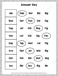 Circle the Rhyming Words Worksheet - Exercise 2 - Your Home Teacher