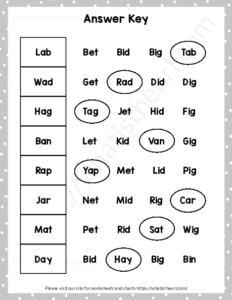 Circle the Rhyming Words Worksheet - Exercise 4 - Your Home Teacher