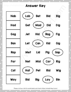 Circle the Rhyming Words Worksheet - Exercise 6 - Your Home Teacher