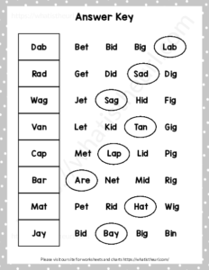 Circle the Rhyming Words Worksheet - Exercise 6 - Your Home Teacher