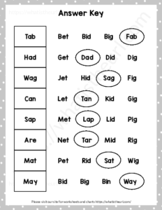 Circle the Rhyming Words Worksheet - Exercise 8 - Your Home Teacher