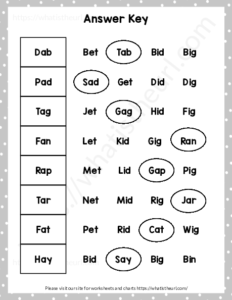Circle the Rhyming Words Worksheet - Exercise 9 - Your Home Teacher