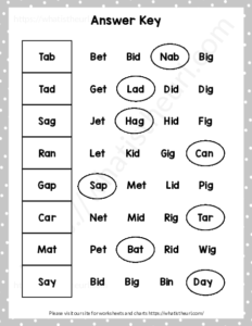Circle the Rhyming Words Worksheet - Exercise 9 - Your Home Teacher