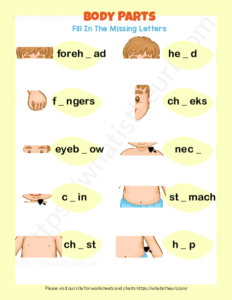 Body Parts - A Free to Print Kids Book - Your Home Teacher