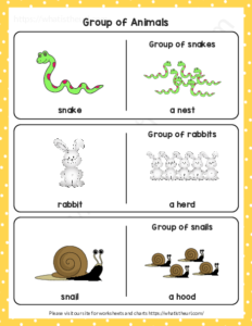 Flashcards of Collective Nouns for Animals - Your Home Teacher