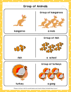 Flashcards of Collective Nouns for Animals - Your Home Teacher