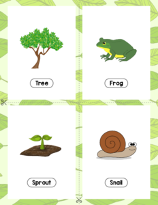 Flashcards on Spring Season - Your Home Teacher