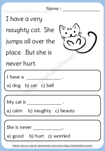Reading Comprehension for kids - Exercise 41 - Your Home Teacher