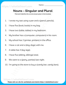 Identifying Singular and Plural Nouns - 1 (Grade 1) - Your Home Teacher