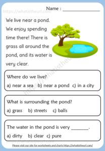 Reading Comprehension for kids - Exercise 59 (My dad's Car, Pond, Rose ...