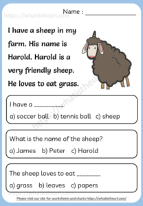 Reading Comprehension for kids - Exercise 65 - Your Home Teacher