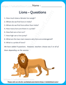 Lion - Reading Comprehension - Your Home Teacher