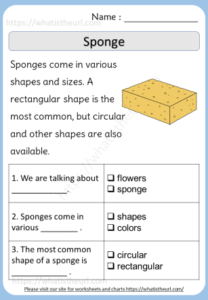 Sponge - Reading comprehension - Your Home Teacher