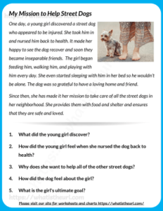 My Mission to Help Street Dogs - Your Home Teacher