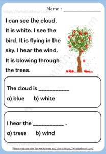 Summer, Wind, Friend and Swimming - Reading comprehension - Your Home ...