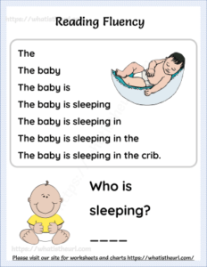 Free Reading Fluency Comprehension - Exercise 1 - Your Home Teacher