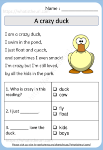 A crazy duck, cow, my dog and cat - Reading comprehension for Grade 1 ...