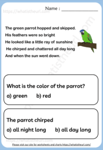 Green Parrot, The Golden Sun, Pebbles and Happy Family - Kindergarten ...