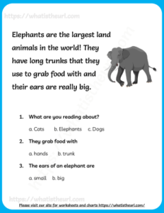 Elephants, Family, Dentist and Farm - Reading Comprehension for Grade 2 ...