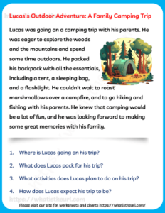 Bear, Dog, Ava's pet and Camping - Reading Comprehension for Grade 2 ...
