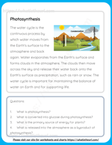 Science - Reading Comprehension Passages for Grade 4 - Your Home Teacher