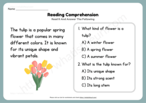 Reading comprehension - Daisy, Tulip, Orchid and butterfly - Your Home ...