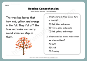 Reading comprehension - Turtle, Fall, Birds nest and eggs and Spider ...