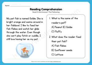 Reading comprehension - My pet fish, shore, bathing suit and ice-cream ...