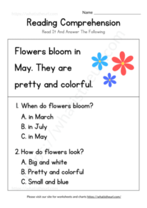 Kindergarten Reading Comprehension - I see my cat - Your Home Teacher