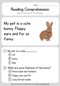 Kindergarten Reading Comprehension - Pets and Math - Your Home Teacher
