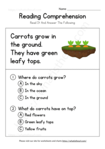 Kindergarten Reading Comprehension - Carrots - Your Home Teacher
