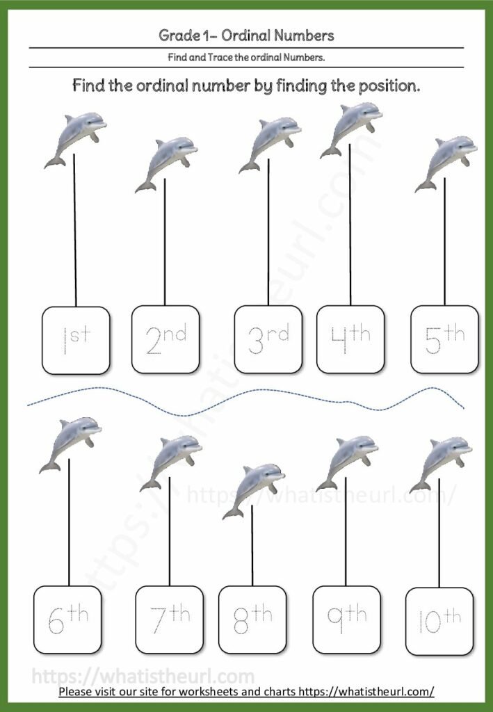 Grade 1 Ordinal Numbers - Dolphin - Your Home Teacher